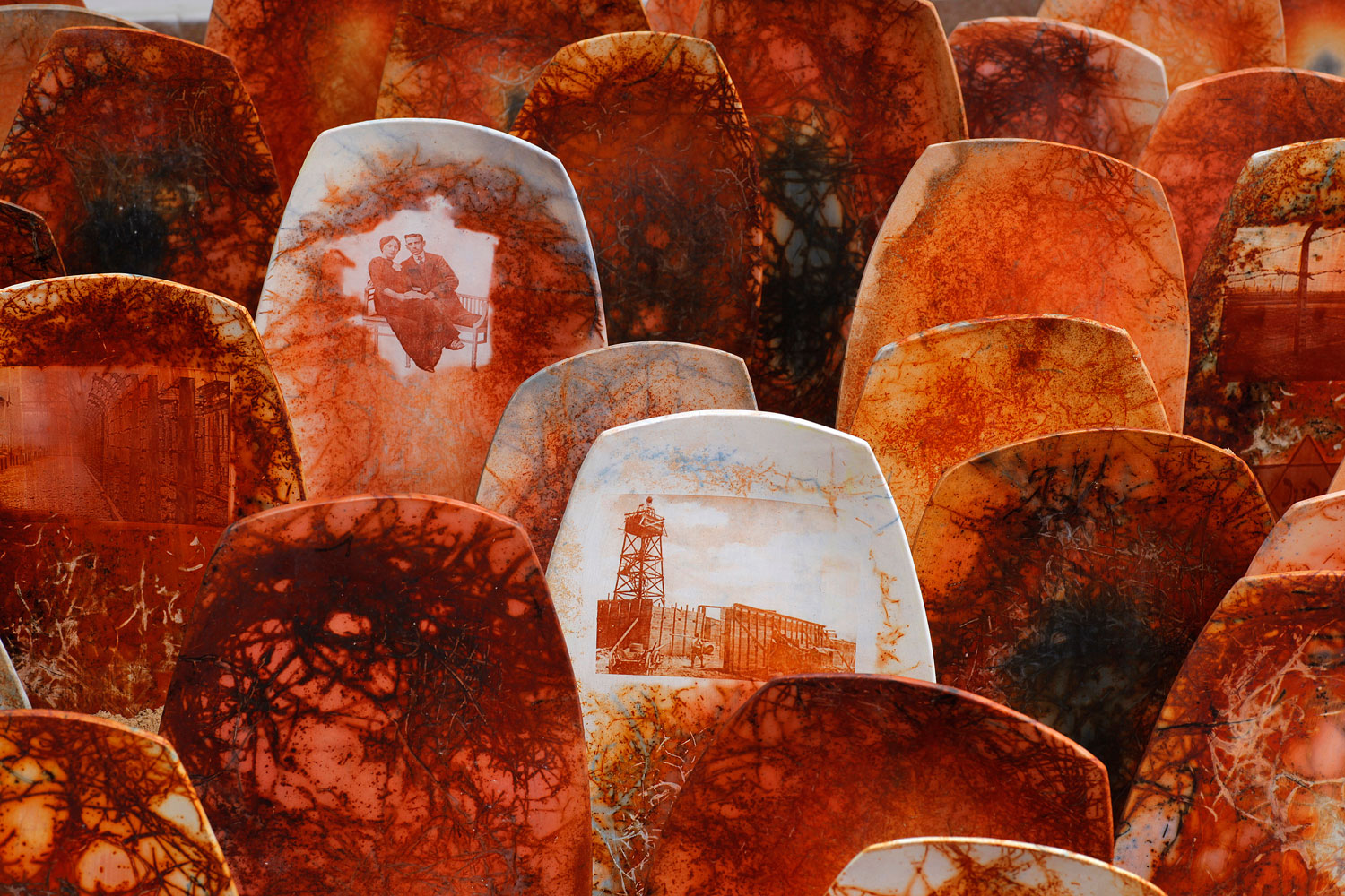 Shamai Gibsh - Artaxis.org