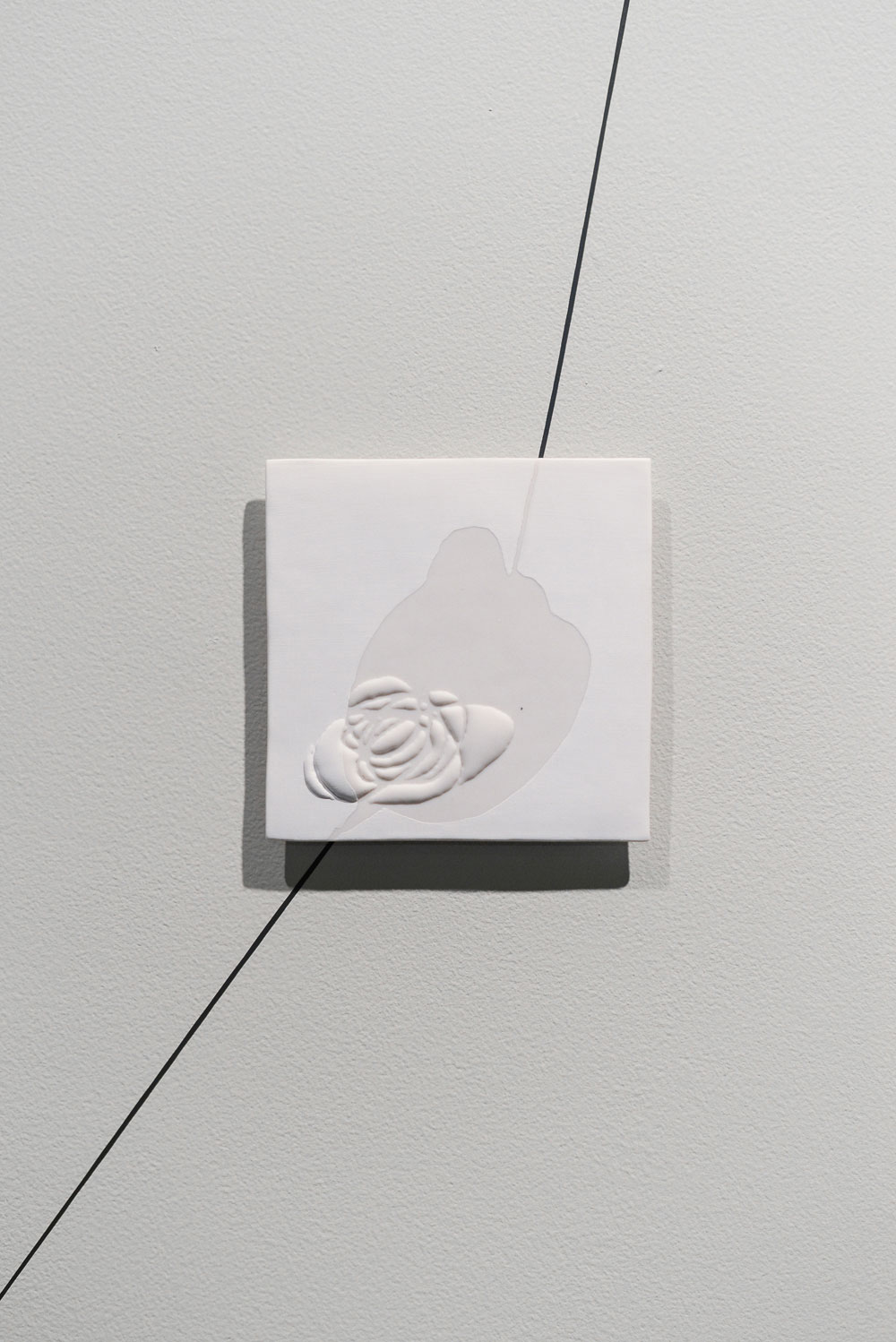 Shalya Marsh • Artaxis.org